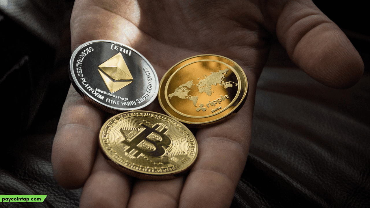 Understanding Cryptocurrency Staking: A Comprehensive Guide - Pay Coin Tap Understanding Cryptocurrency Staking: A Comprehensive Guide - Pay Coin Tap